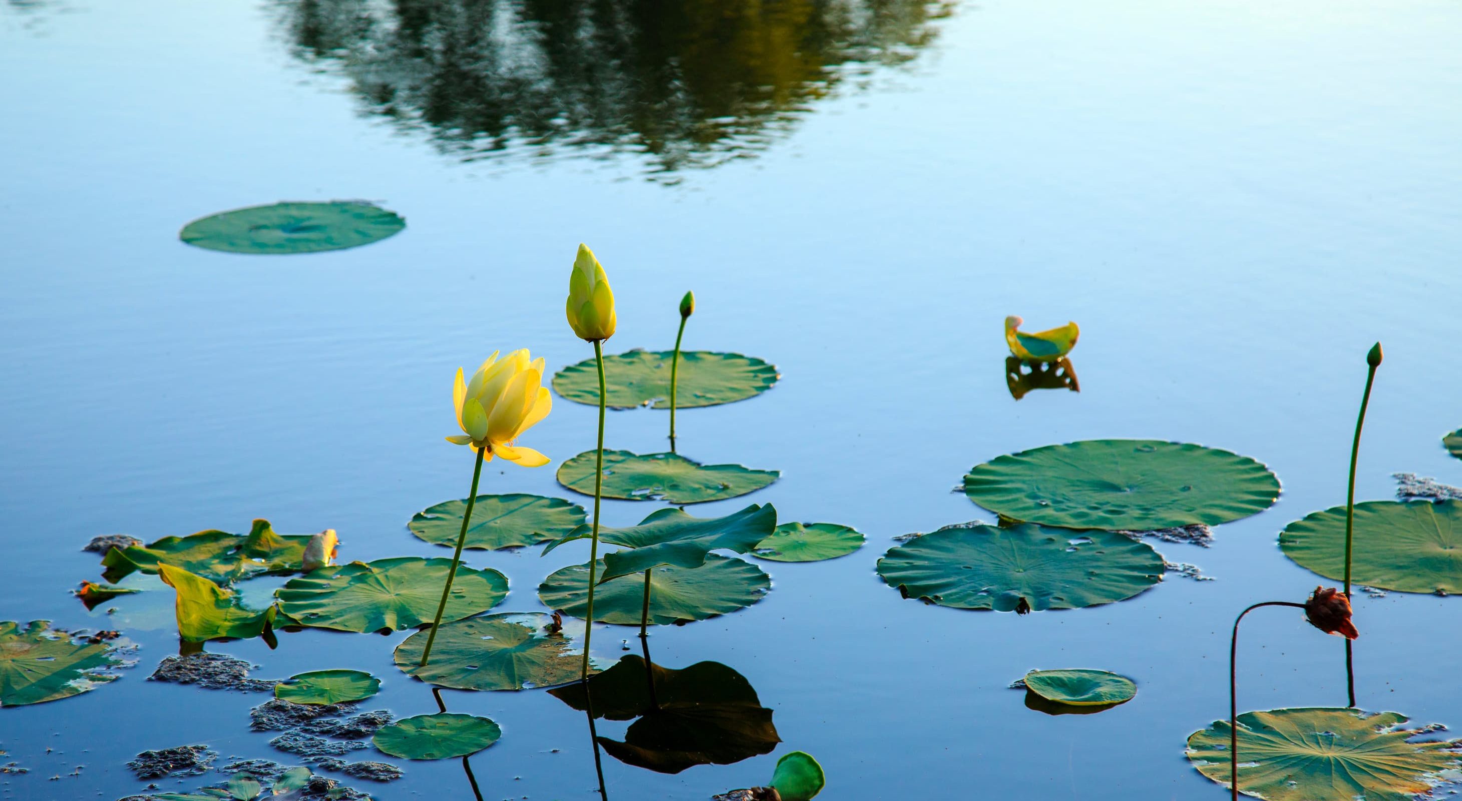 Luxury Kansas Spa | Destination Bed and Breakfast with Spa